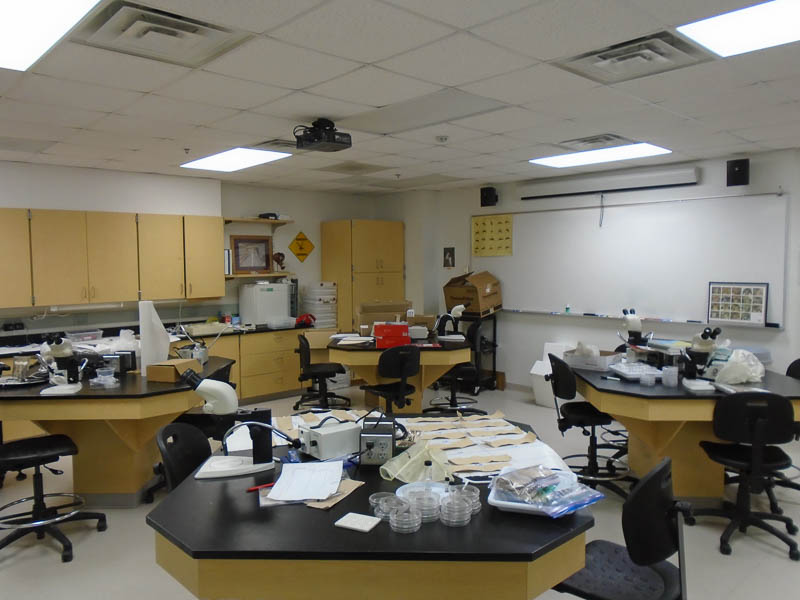 East Carolina University